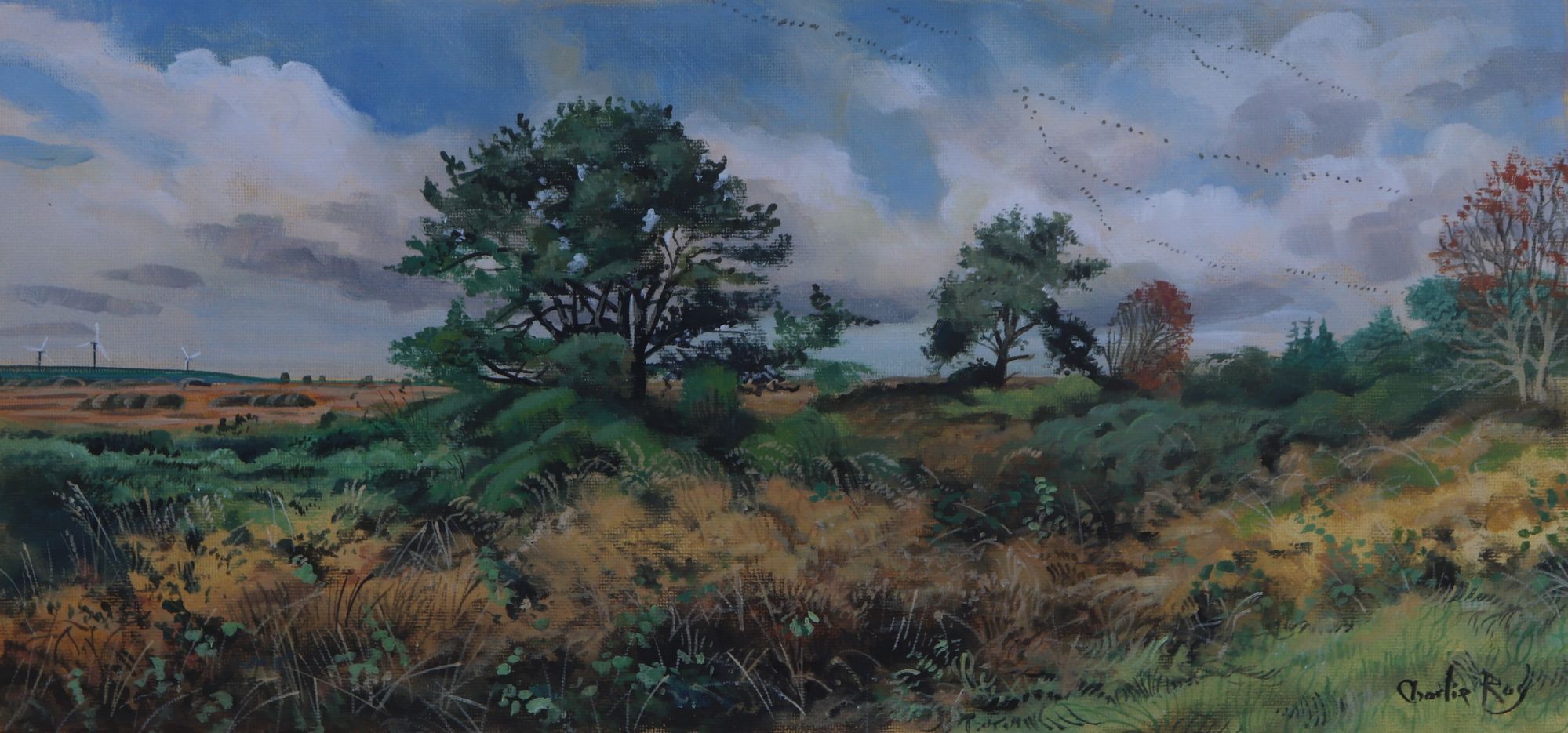 Original artworks for sale – Charlie Roy Art